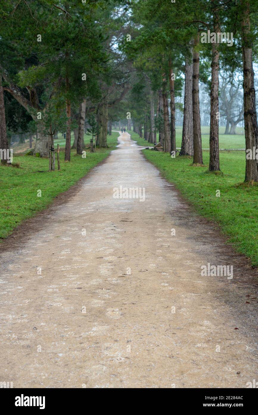 Long light coloured pathway through English countryside. Symmetrical ...