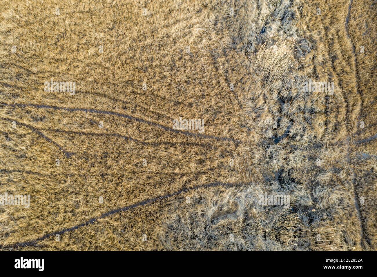 Random paths hi-res stock photography and images - Alamy