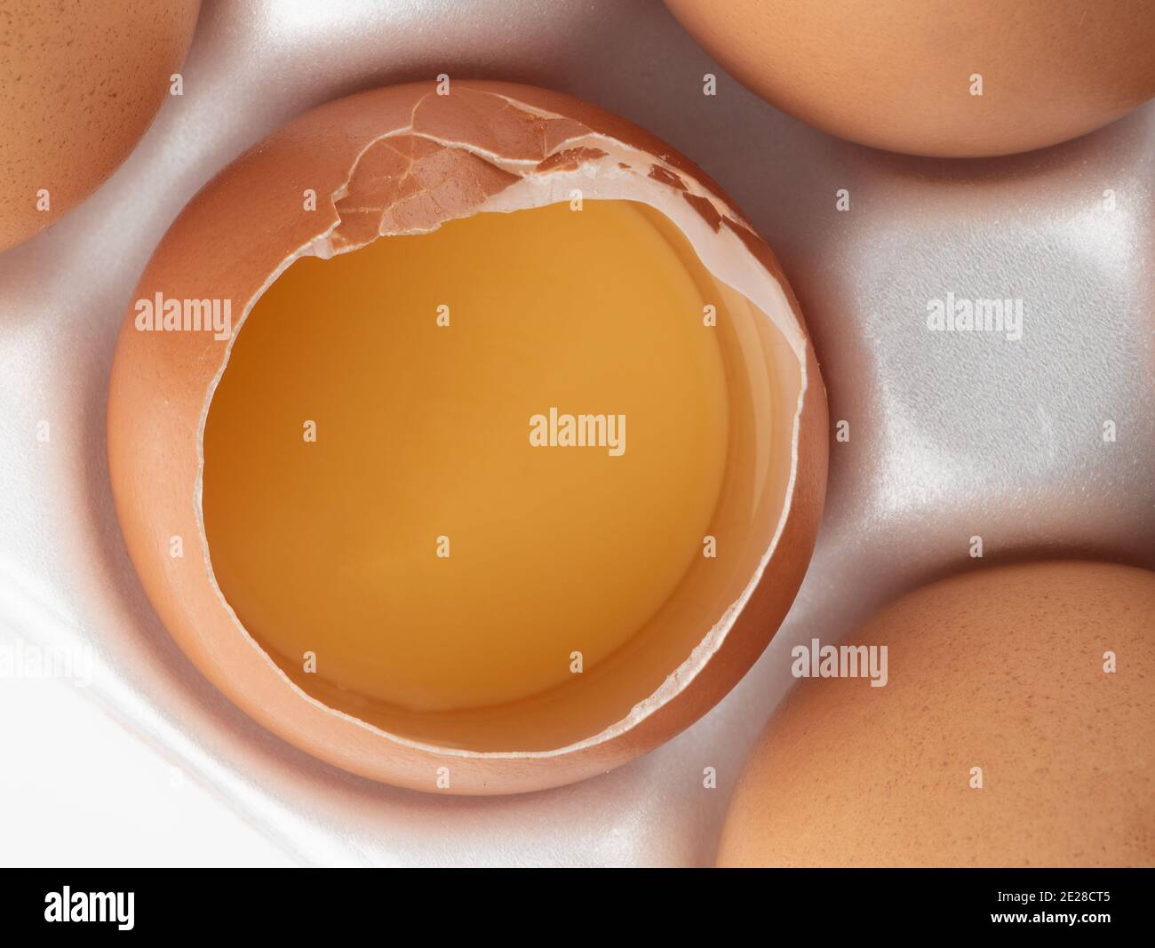Close-up of the yolk in the shell of a chicken egg. Cracked shell. Food ...