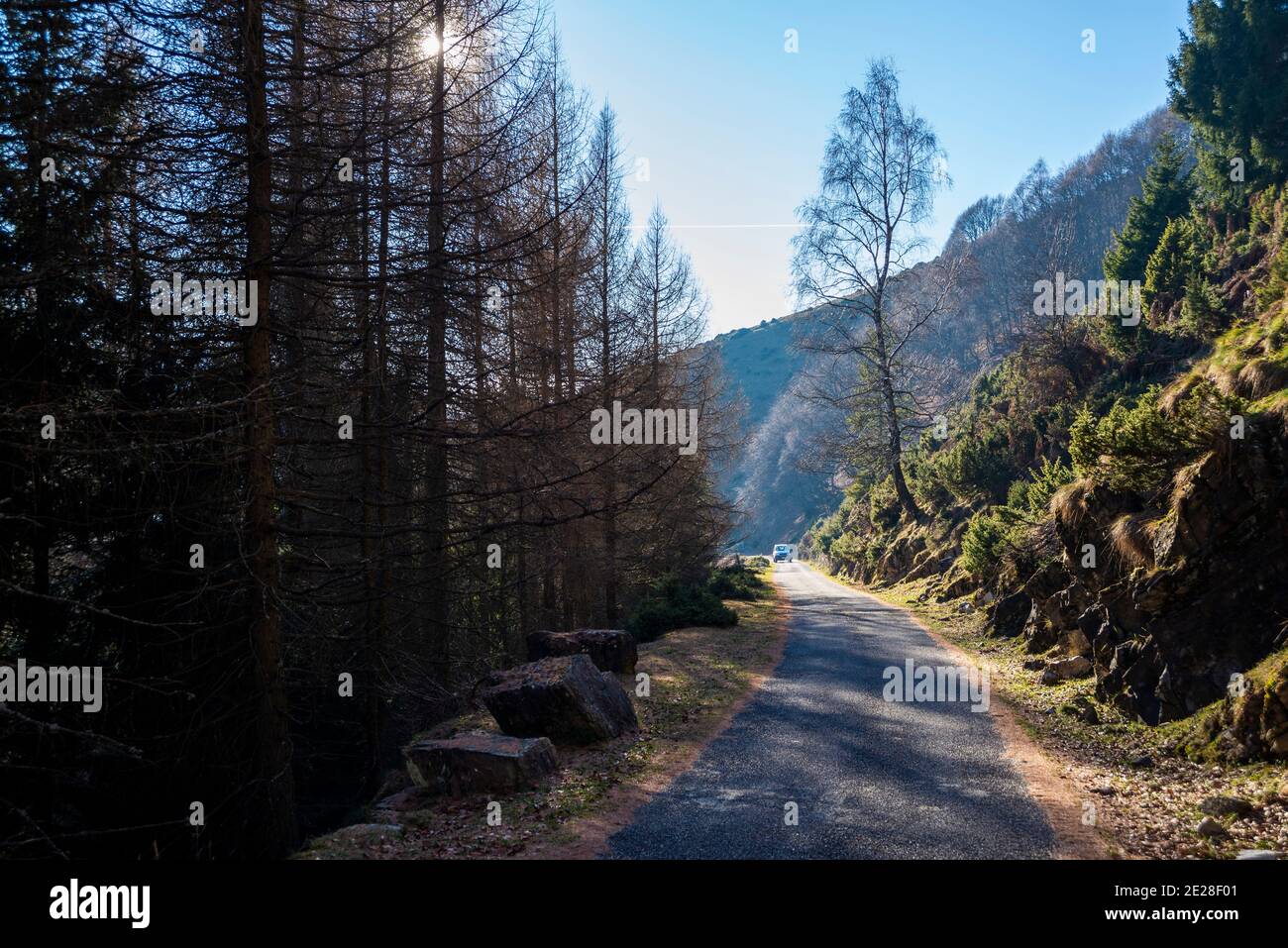 The sun is hiding behind the trees hi-res stock photography and images ...