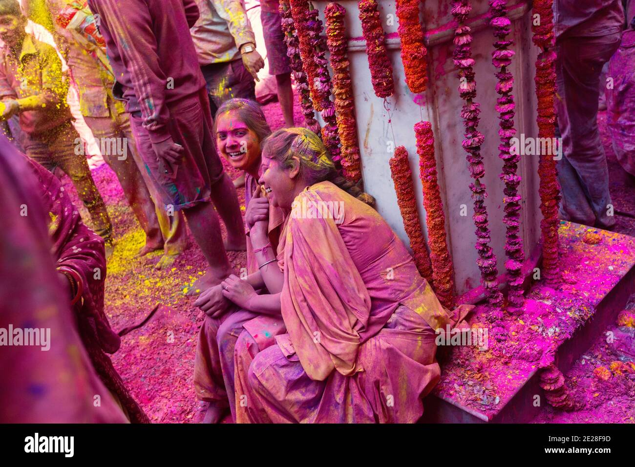 Red widow flower hi-res stock photography and images - Alamy