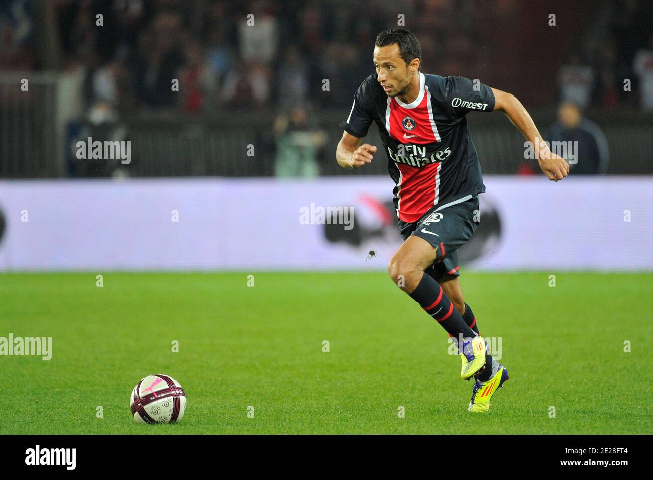 Nene 11 hi-res stock photography and images - Alamy