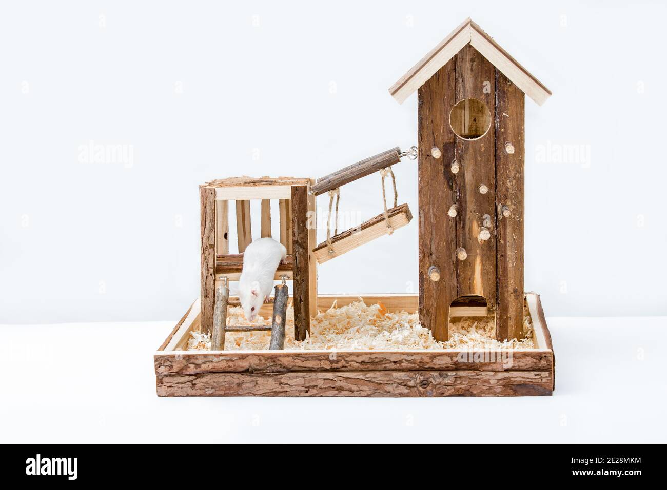 Wood mouse nest hi-res stock photography and images - Alamy