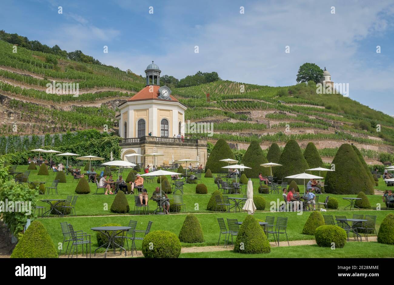 Belvedere, Weinberge, Schloß Wackerbarth, Radebeul, Sachsen ...