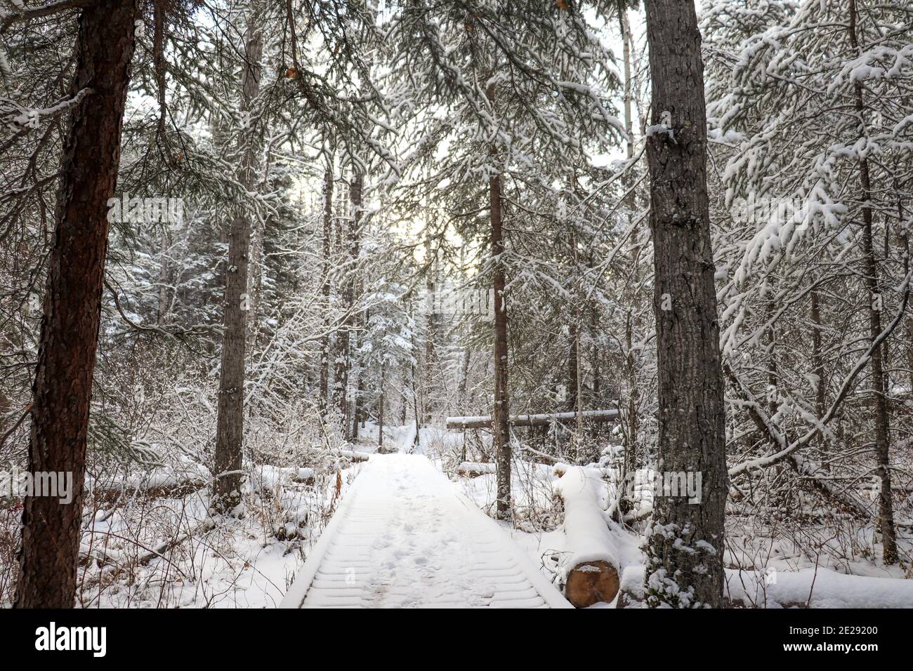 Beautiful nature snow hi-res stock photography and images - Alamy