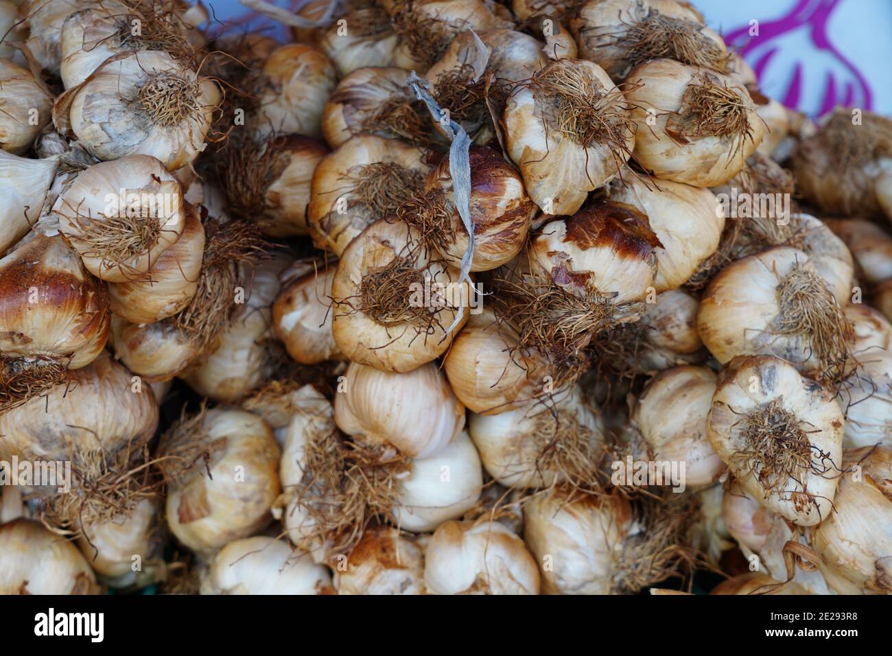 Dried allium heads hi-res stock photography and images - Alamy