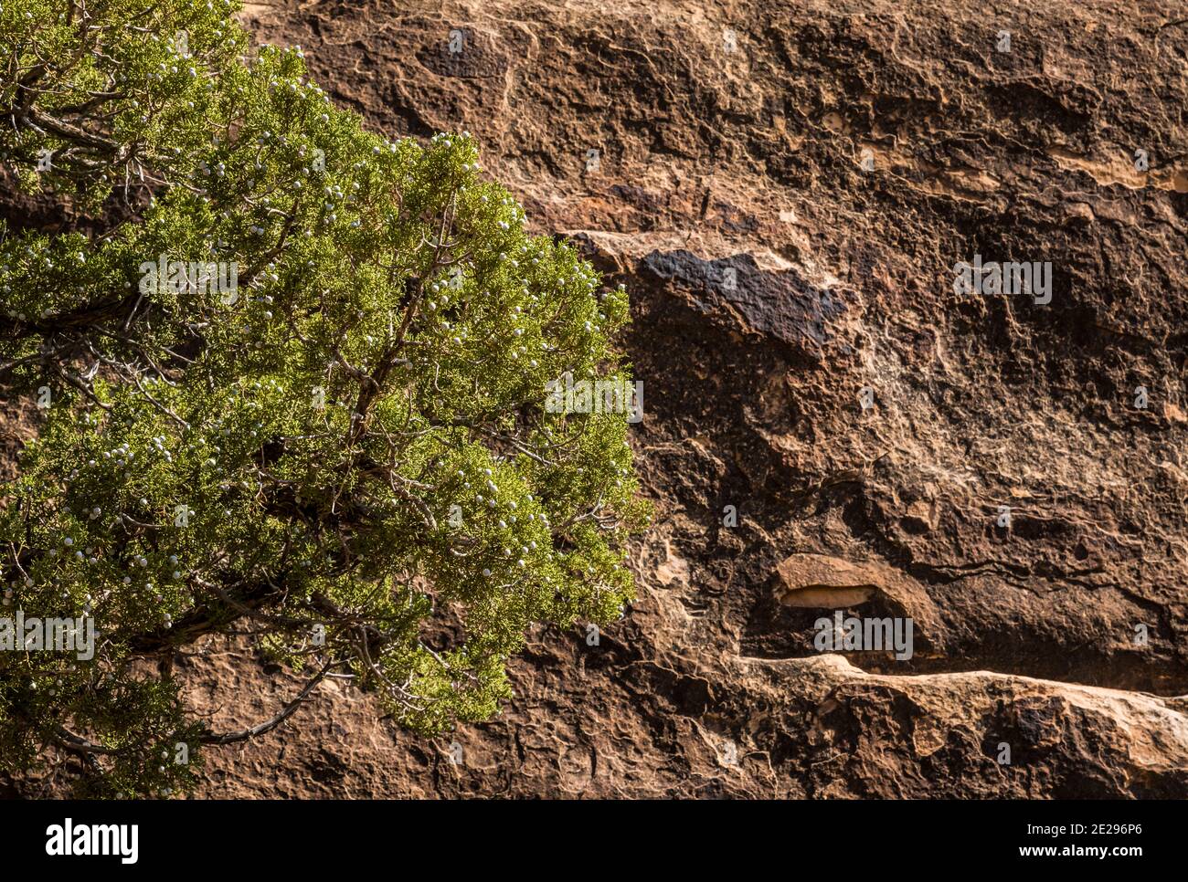 Sandstone rock face hi-res stock photography and images - Alamy