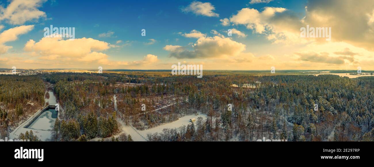 Fairytail forest hi-res stock photography and images - Alamy
