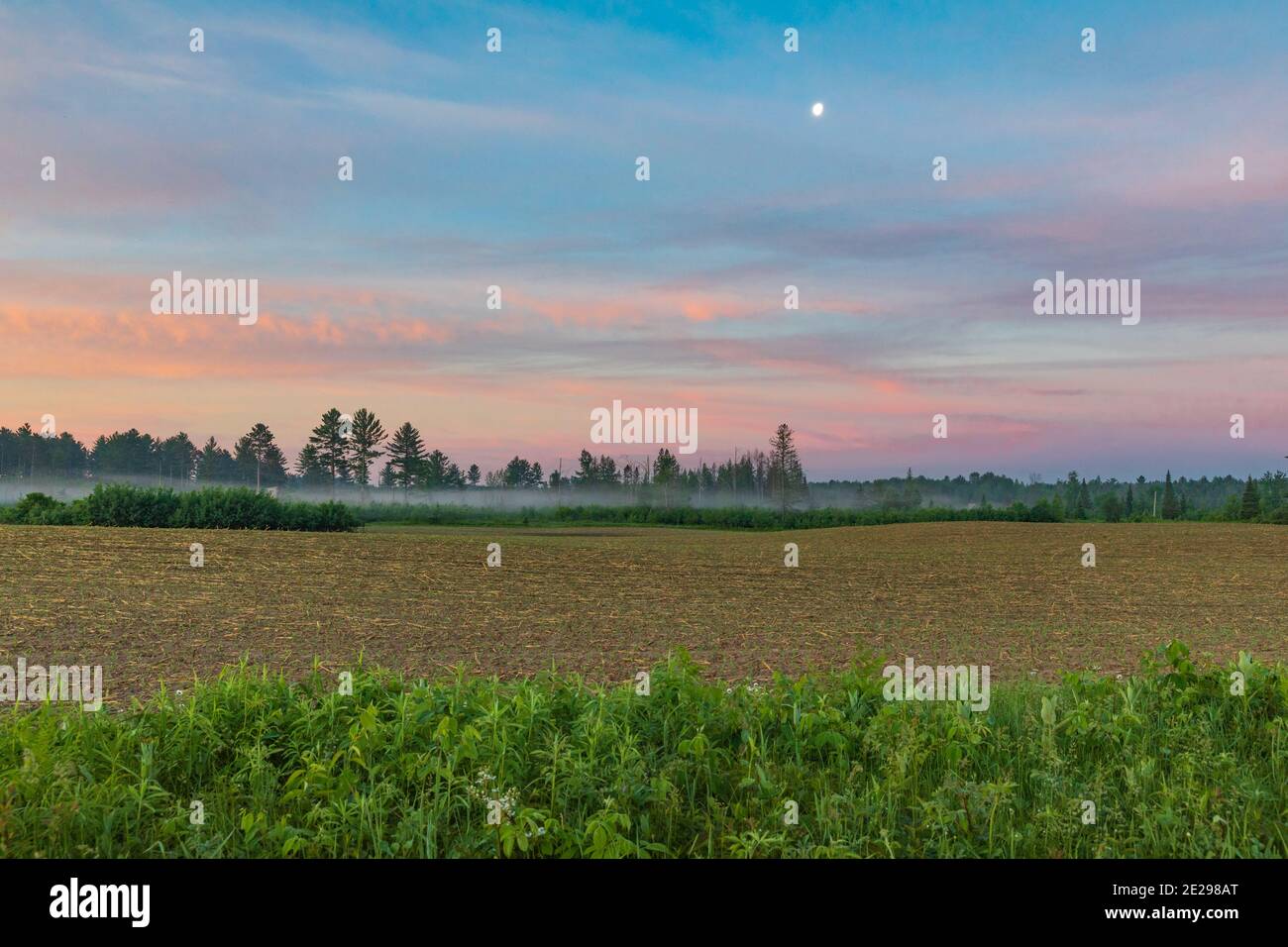 Farmers field in morning mist hi-res stock photography and images - Alamy