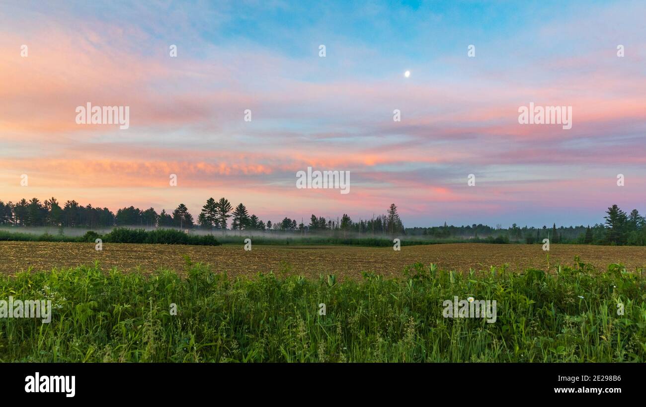 Farmers field in morning mist hi-res stock photography and images - Alamy