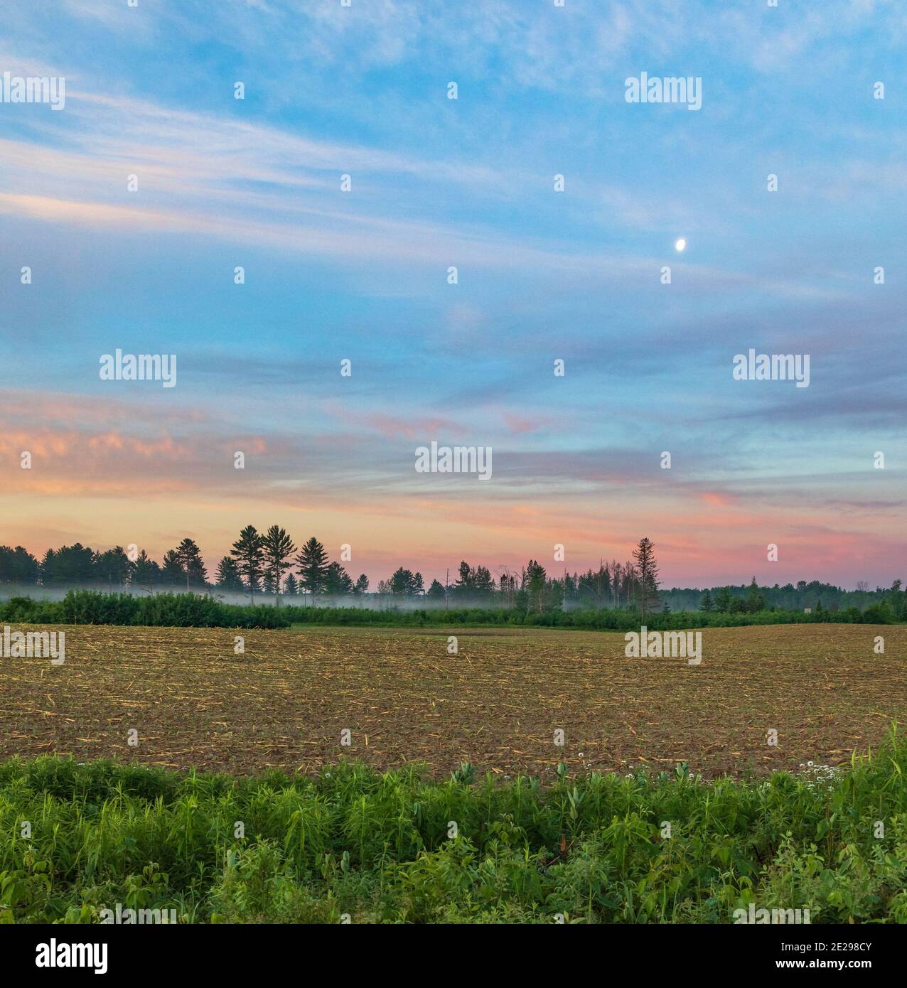 Pretty morning clouds and mist over a farm field in northern Wisconsin ...