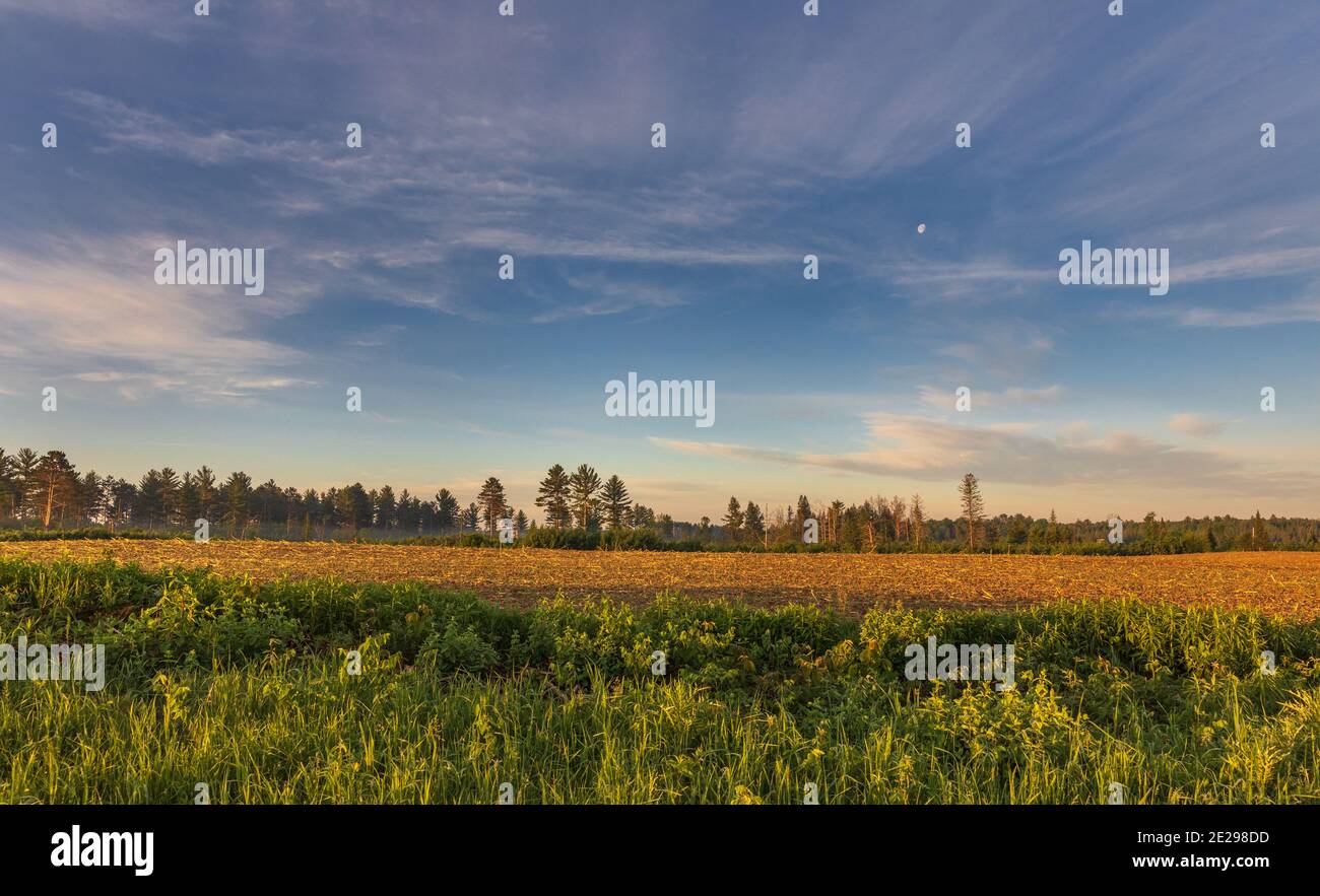 The moon and clouds over a cut corn field in northern Wisconsin Stock ...