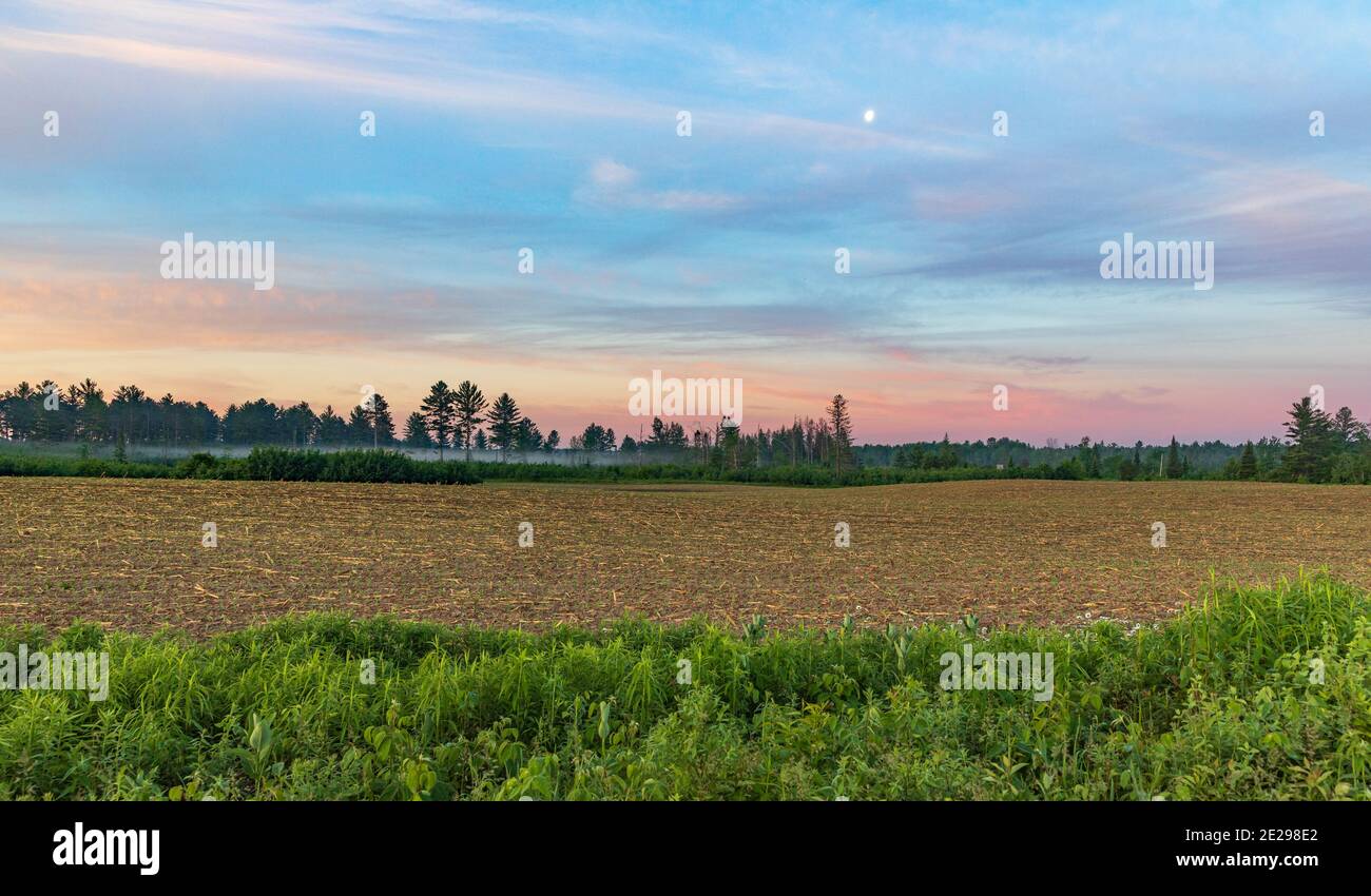 Pretty morning clouds and mist over a farm field in northern Wisconsin ...