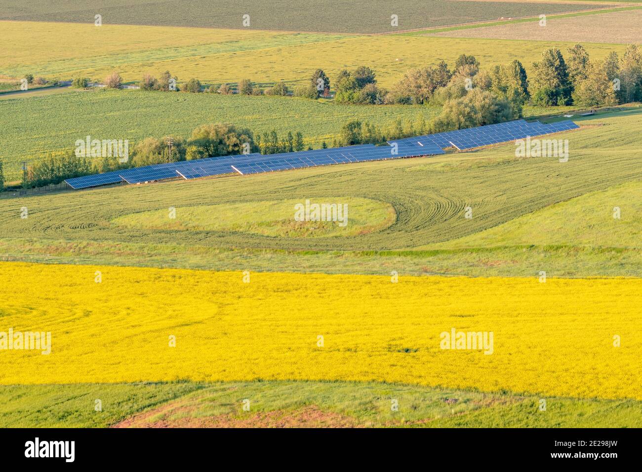 Solar farm usa hi-res stock photography and images - Alamy