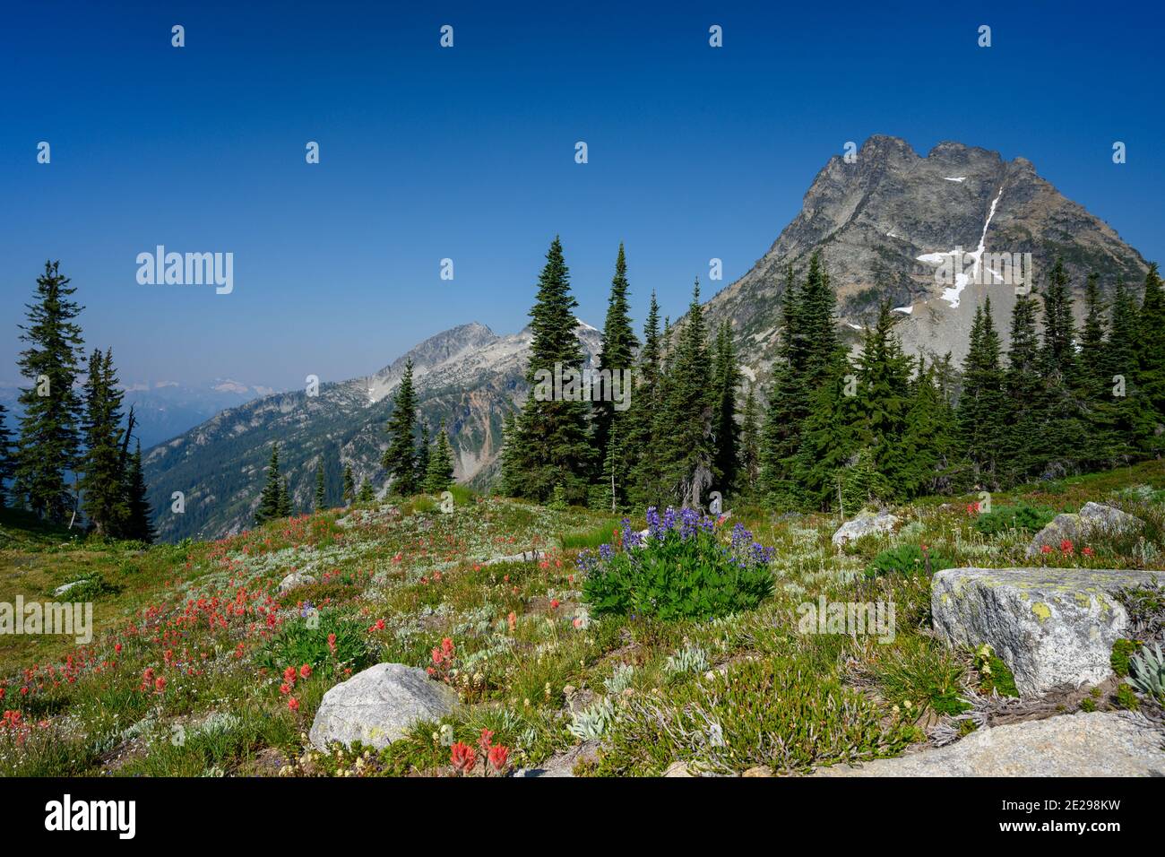 Alpine Meadow in North Cascades National Park along Maple Pass Stock ...
