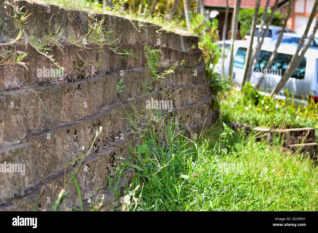 Retaining wall garden overgrown with weeds Stock Photo - Alamy