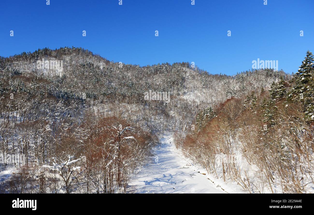 Scenic snowy landscapes in Hokkaido, Japan Stock Photo - Alamy
