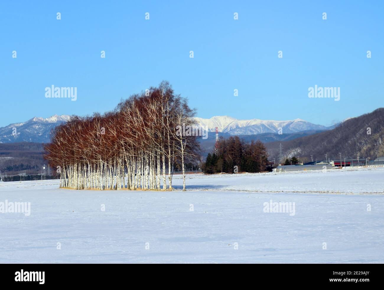 Scenic snowy landscapes in Hokkaido, Japan Stock Photo - Alamy