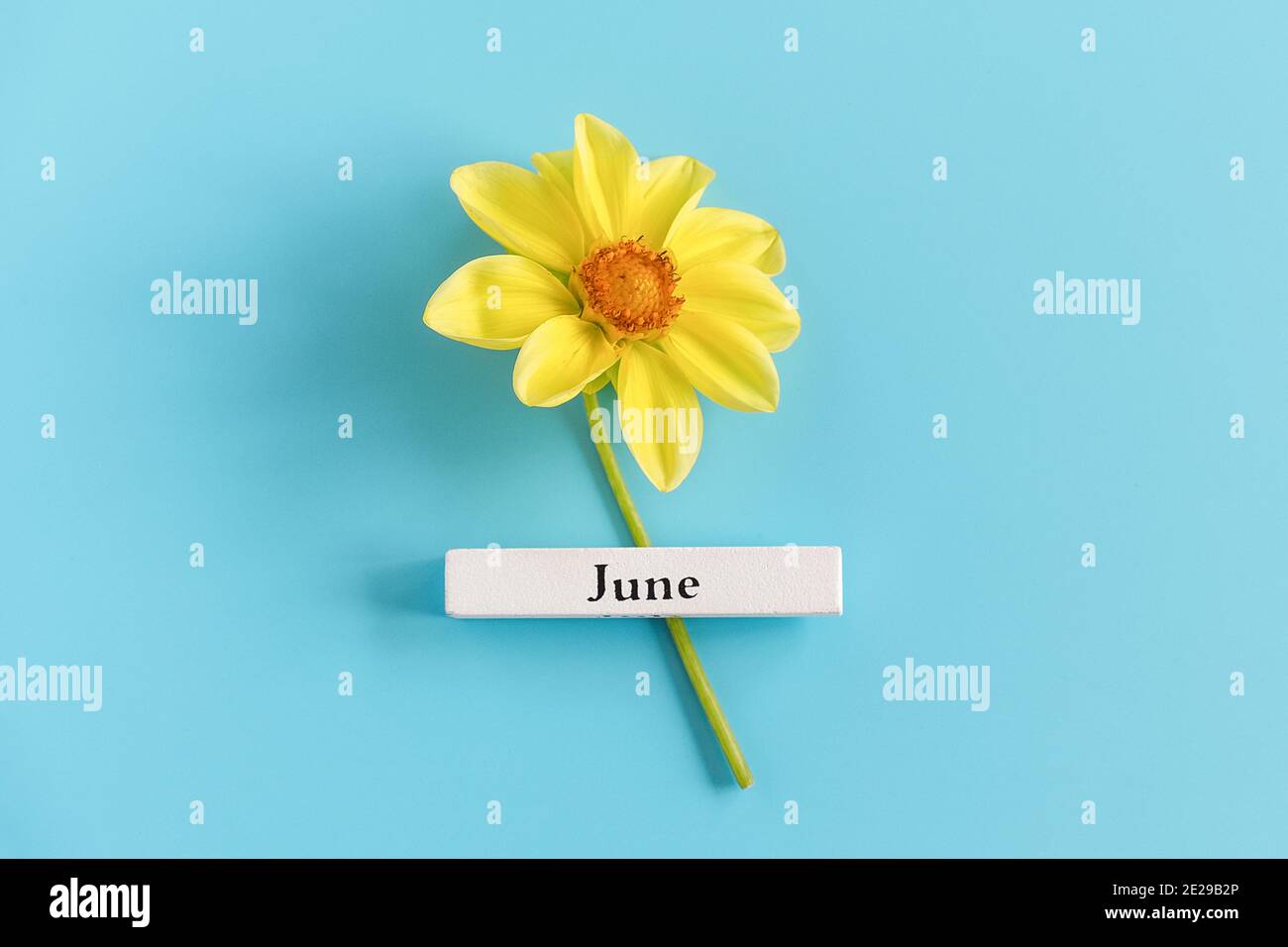 Wooden calendar summer month of June and yellow flower on blue ...
