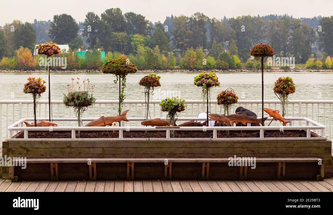 Pier Park at the riverfront of Fraser River in New Westminster City ...