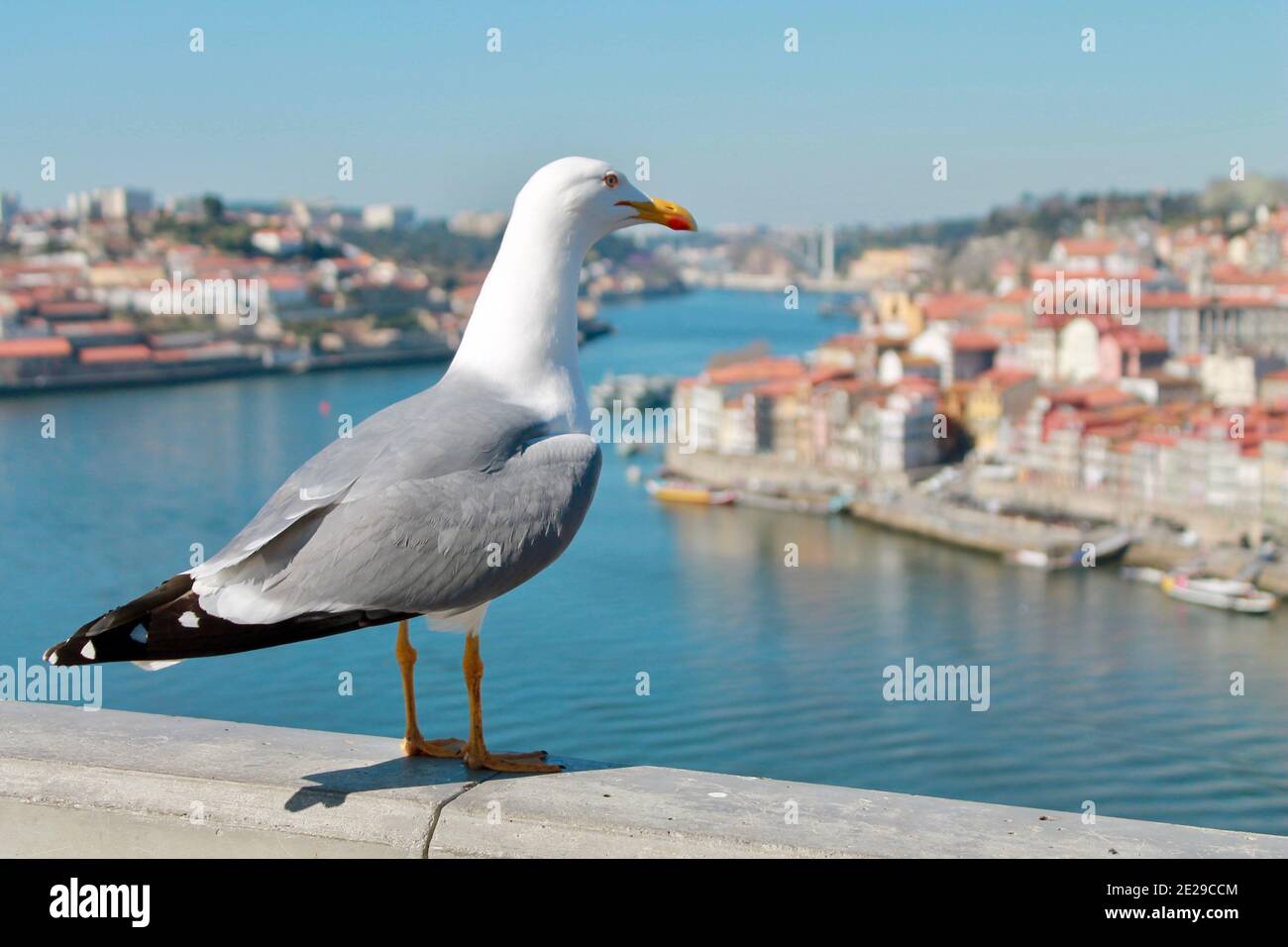 Porto harbour portugal hi-res stock photography and images - Alamy