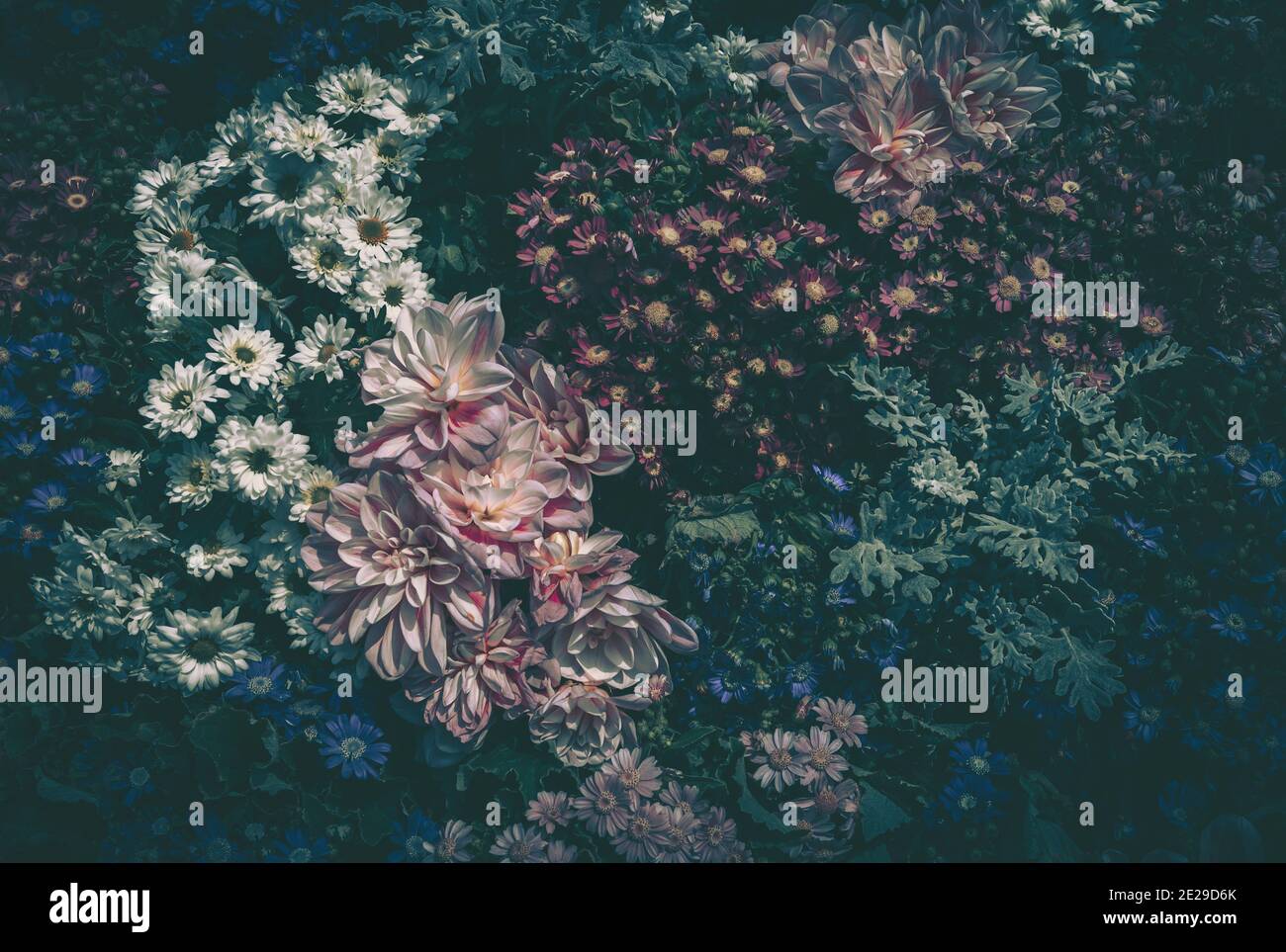 Flower Field background. Vintage style Stock Photo - Alamy