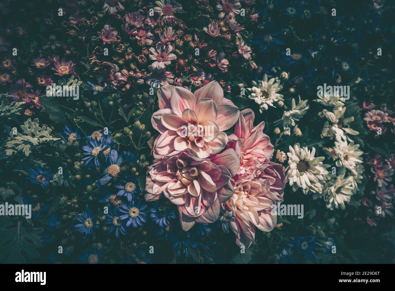 Flower Field background. Vintage style Stock Photo - Alamy