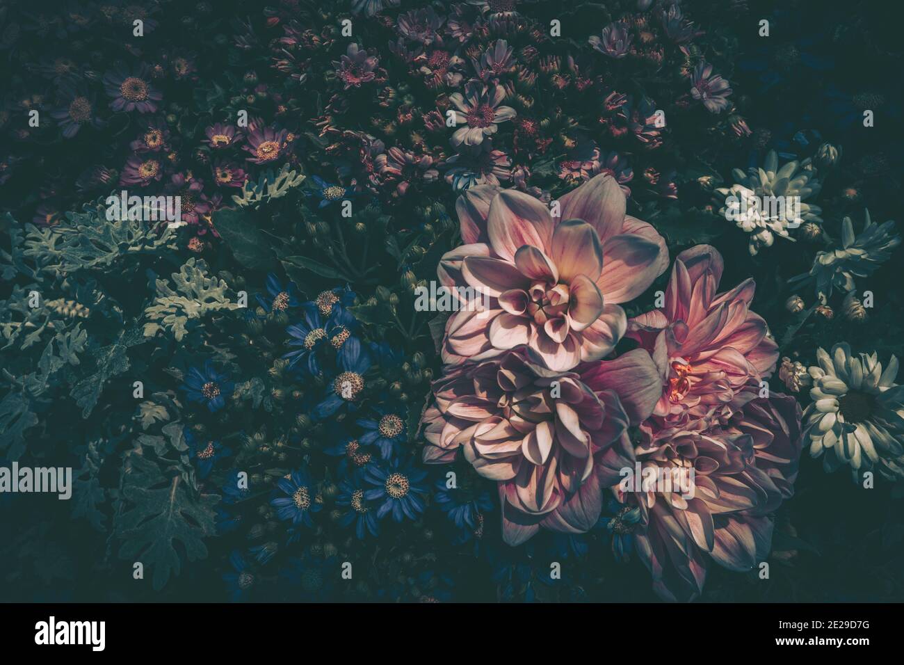 Flower Field background. Vintage style Stock Photo - Alamy