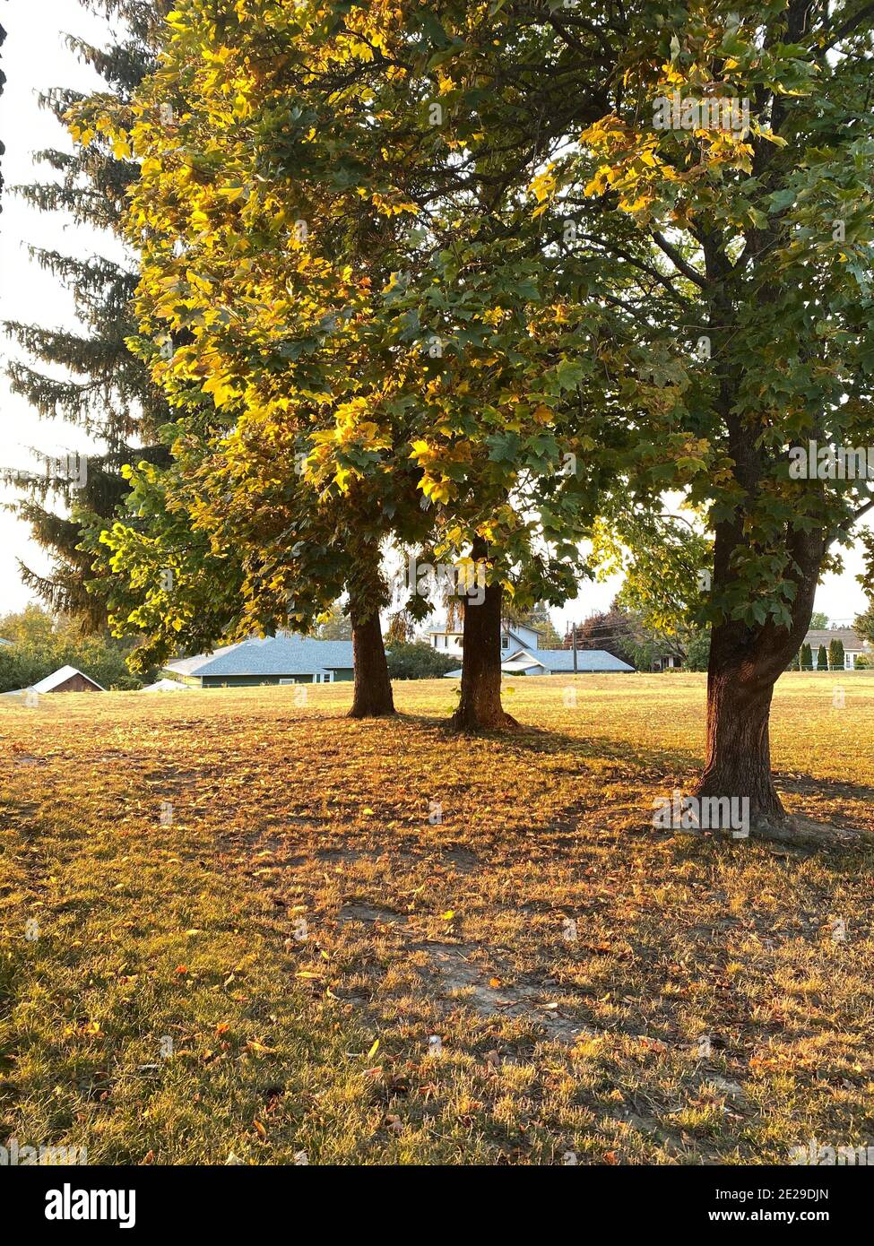 Creston bc hi-res stock photography and images - Alamy