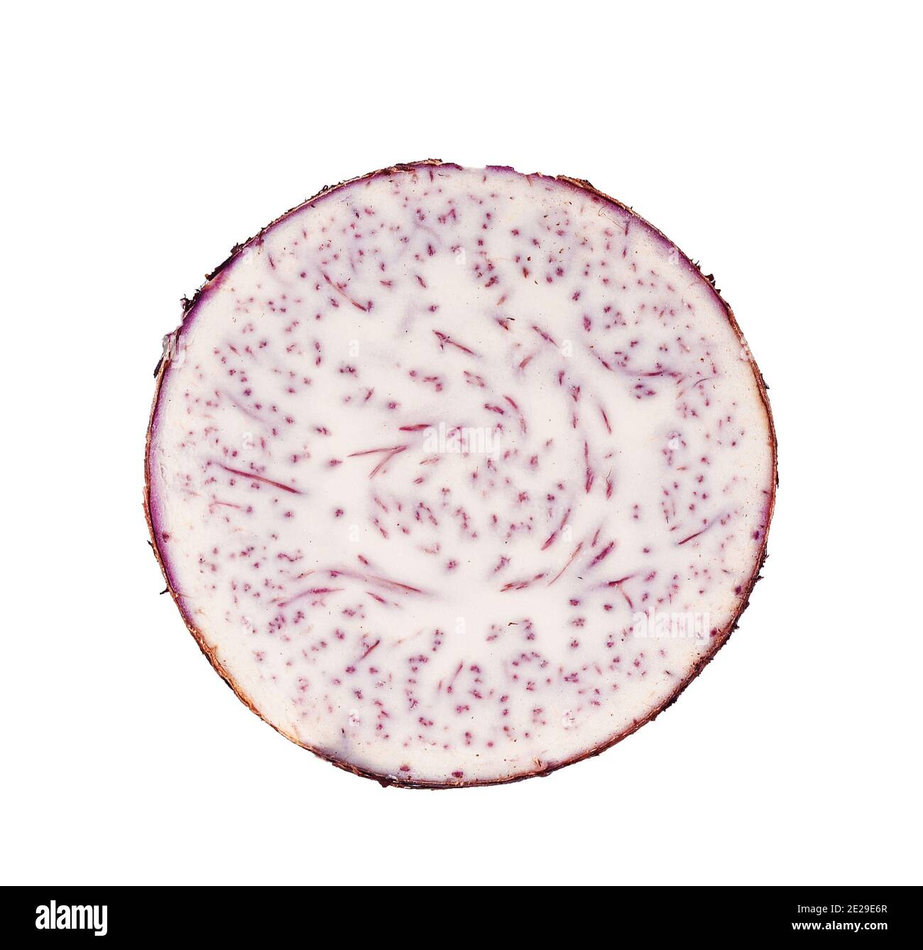 Taro, sliced of taro isolated on white background Stock Photo - Alamy