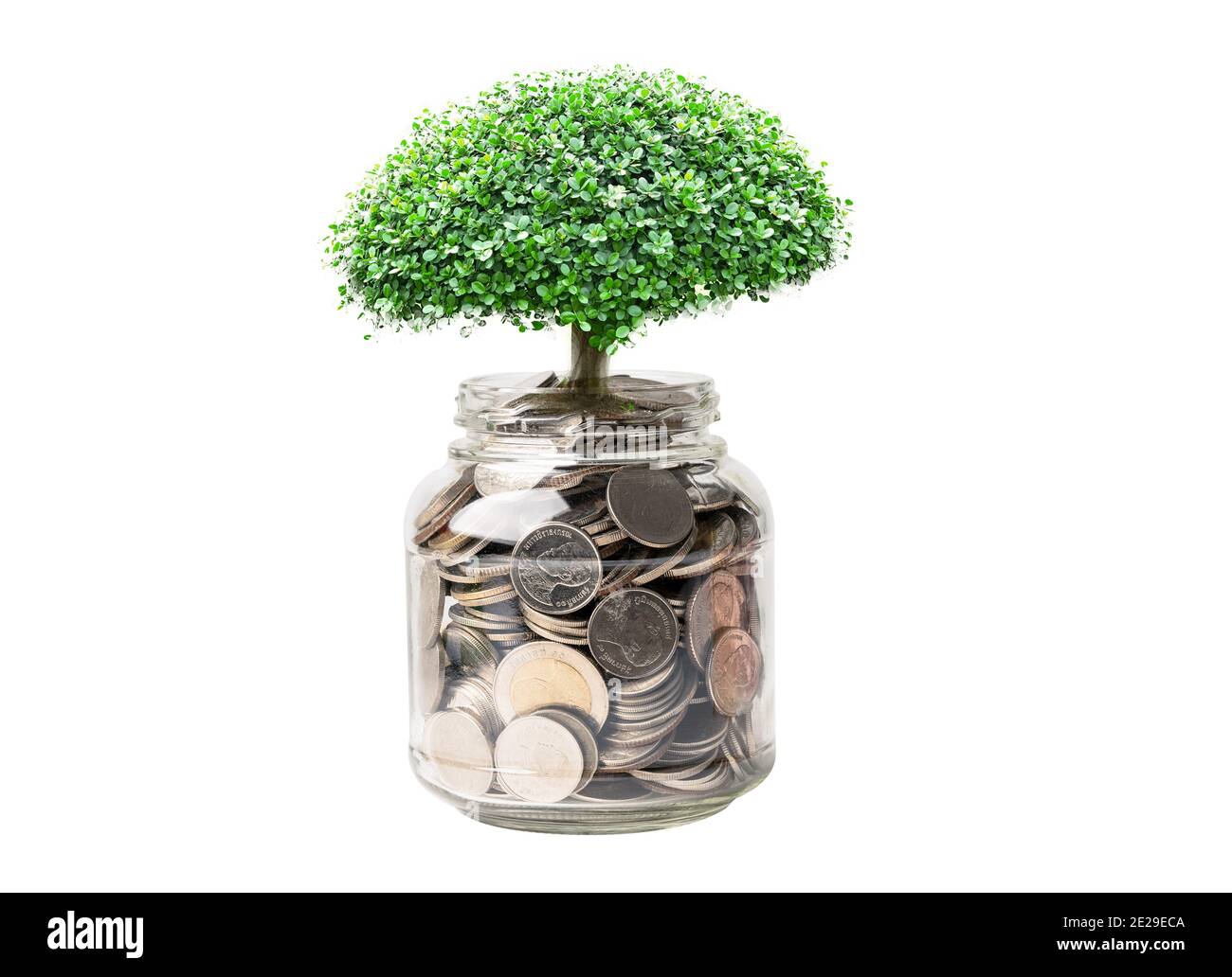 Coin tree glass jar Cut Out Stock Images & Pictures - Alamy