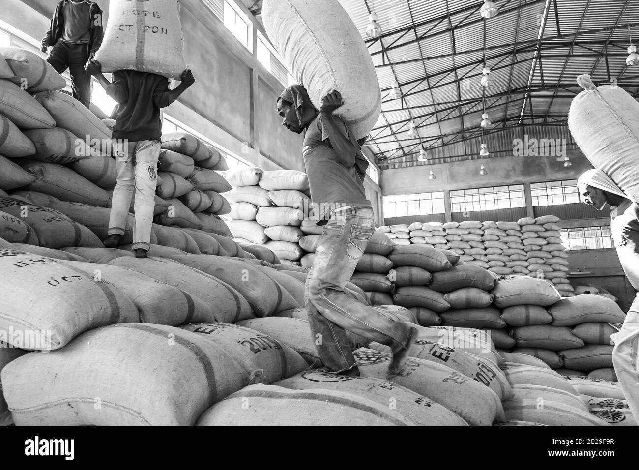 Processing factory agriculture ethiopia hi-res stock photography and ...