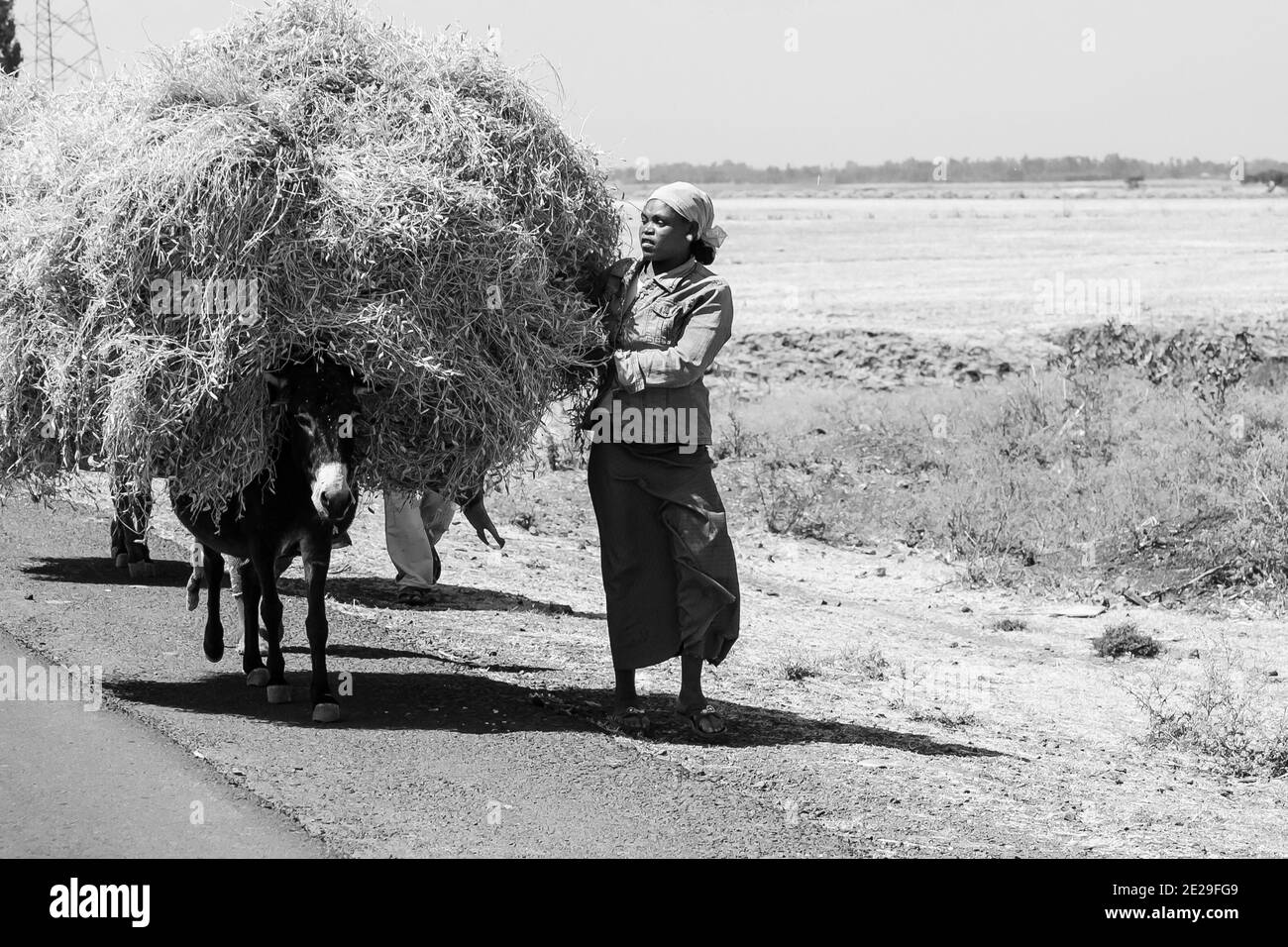 ADDIS ABABA, ETHIOPIA - Jan 05, 2021: Addis Ababa, Ethiopia, January 30 ...