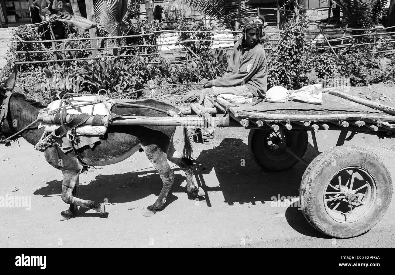 ADDIS ABABA, ETHIOPIA - Jan 05, 2021: Addis Ababa, Ethiopia, January 30 ...