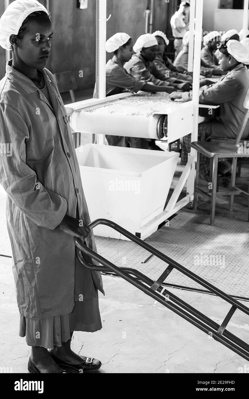 ADDIS ABABA, ETHIOPIA - Jan 05, 2021: Addis Ababa, Ethiopia - January ...