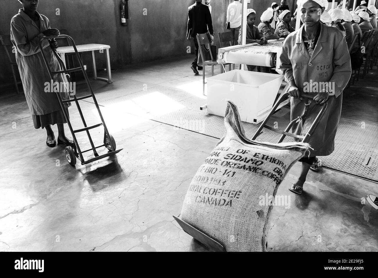 ADDIS ABABA, ETHIOPIA - Jan 05, 2021: Addis Ababa, Ethiopia - January ...