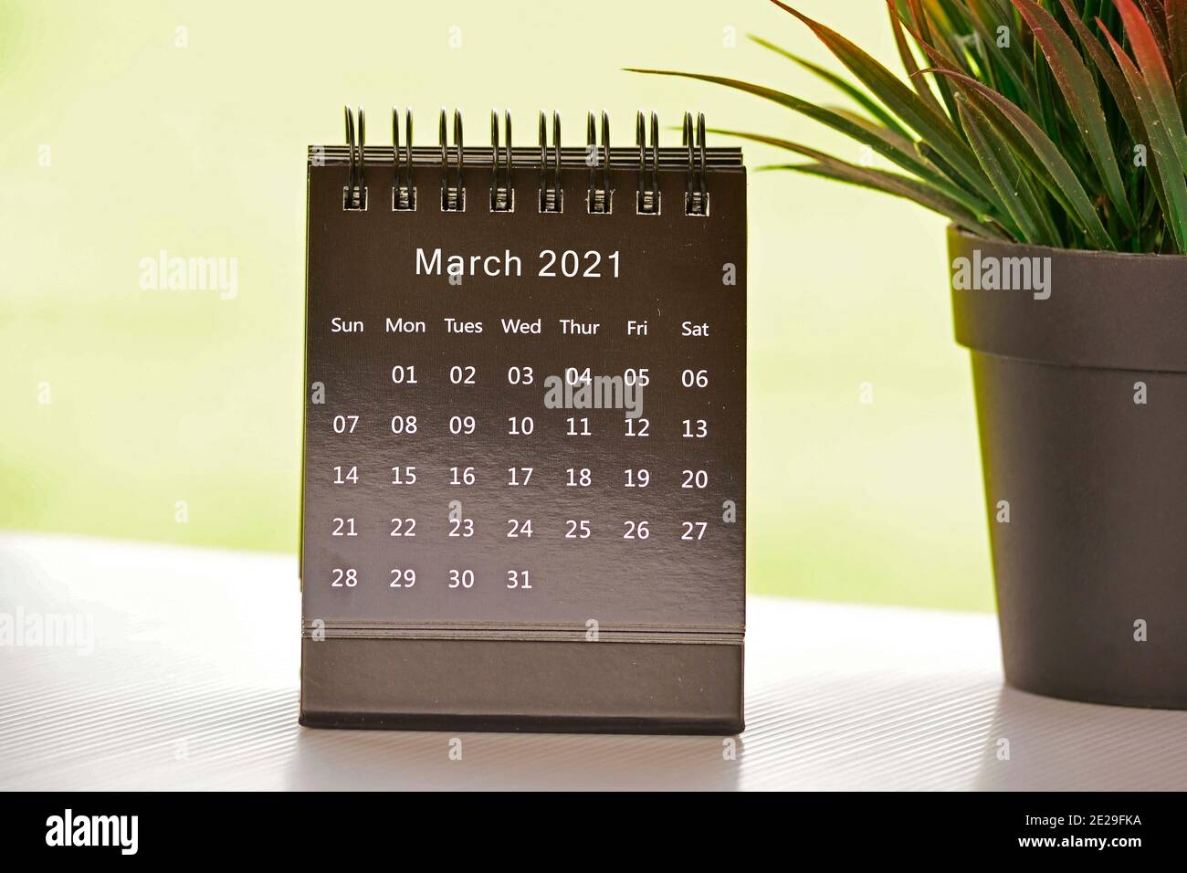 Black March 2021 calendar with green backgrounds and potted plant. 2021 ...