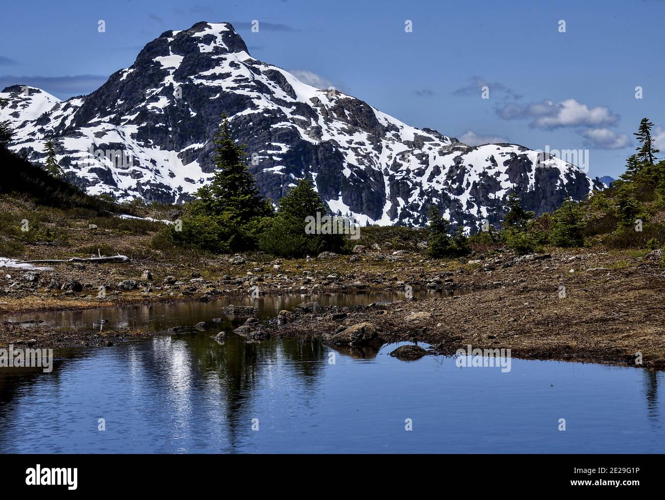 Mount Myra from Flower Ridge Stock Photo - Alamy