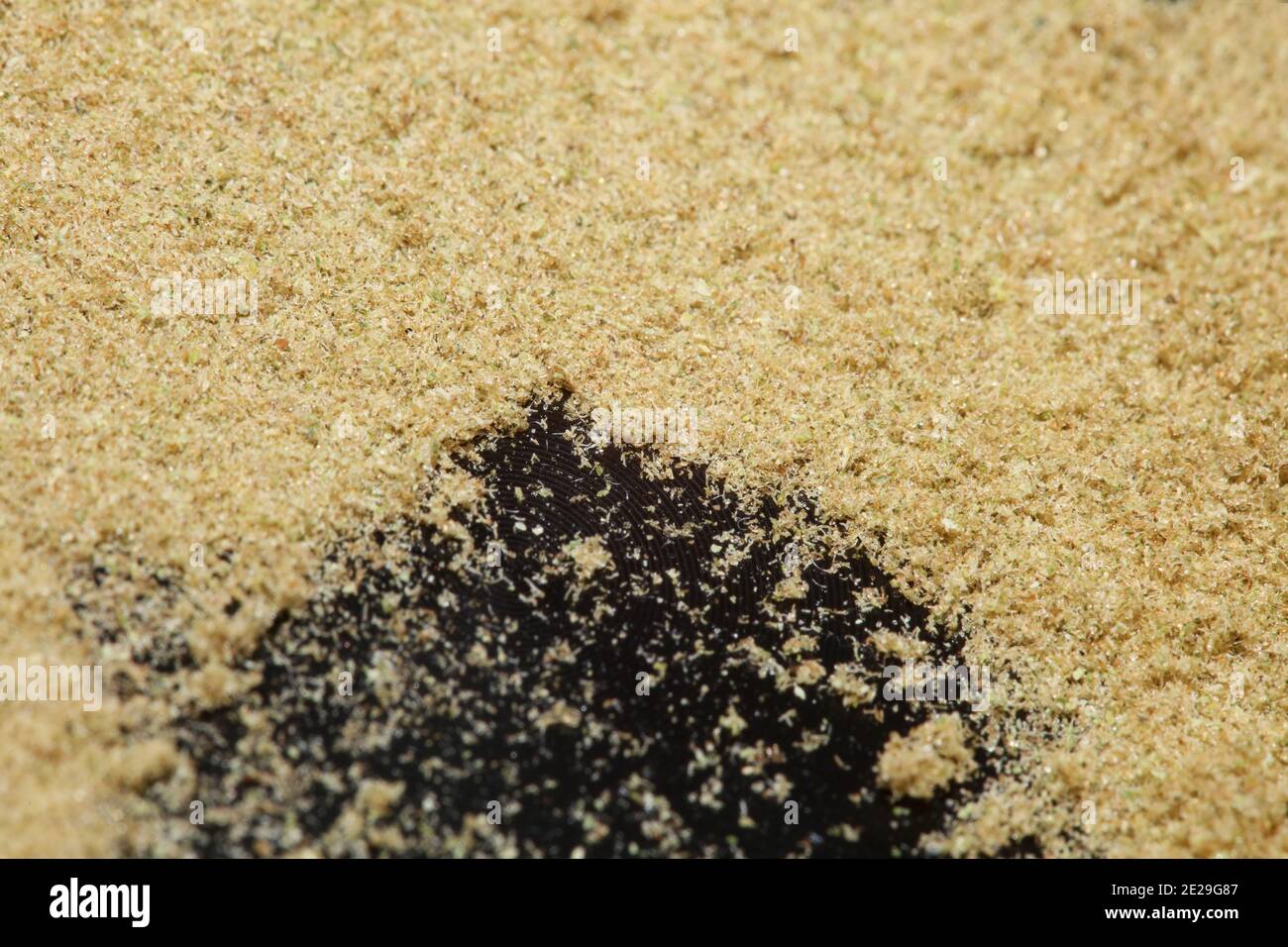 Pure cannabis crystals close up medical greinder thc modern high ...