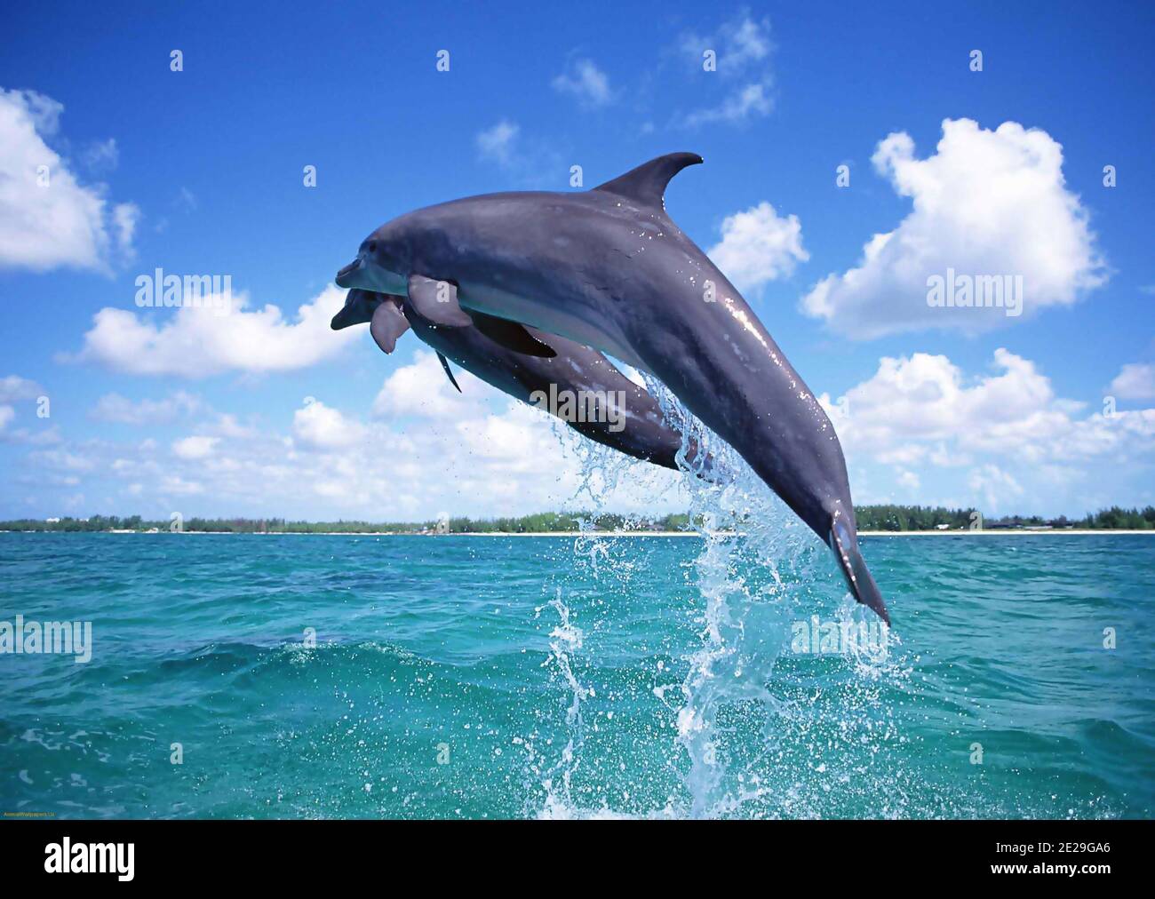 F L T R High Resolution Stock Photography and Images - Alamy