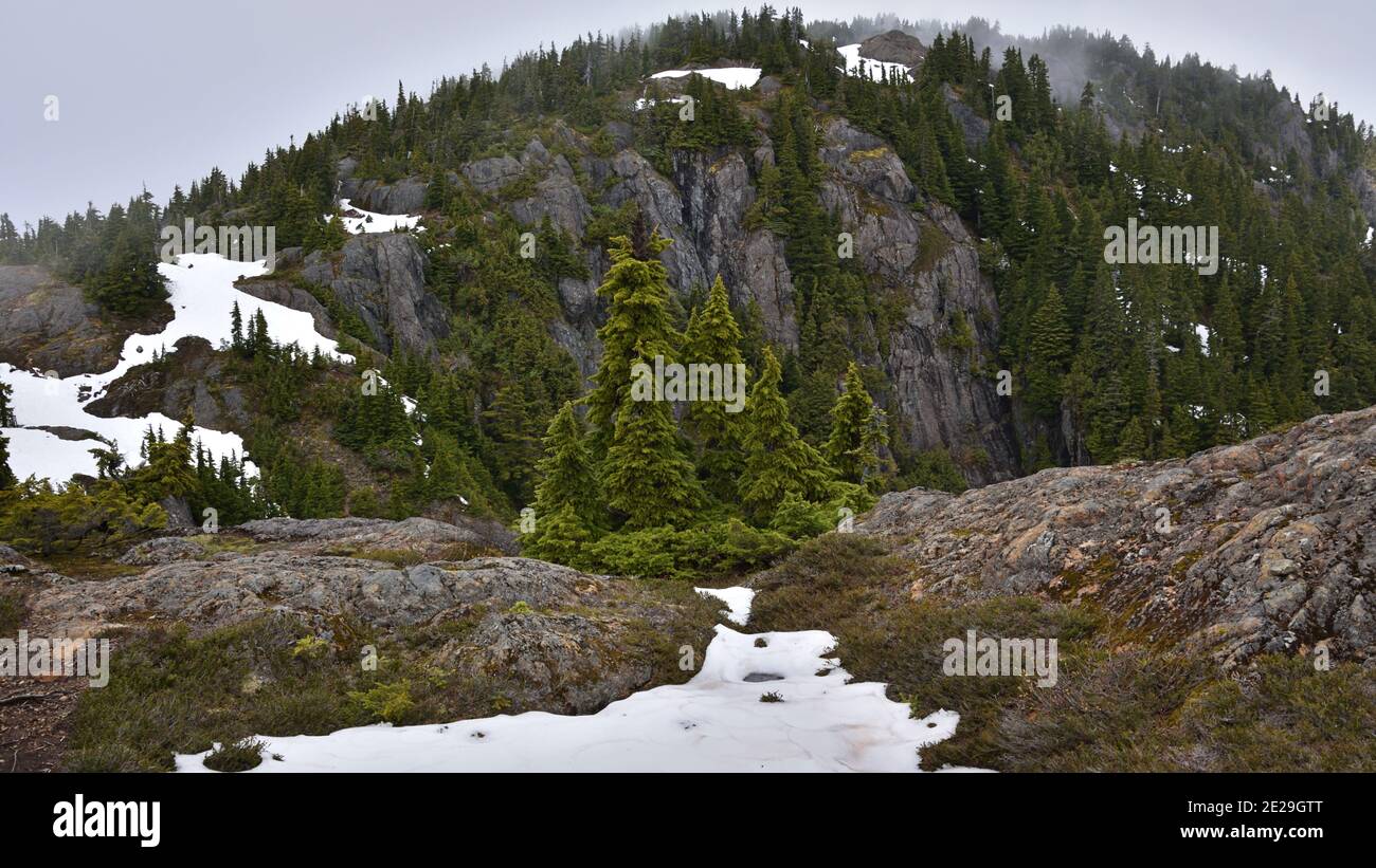 Mount Moriarty, Vancouver Island, British Columbia Stock Photo - Alamy