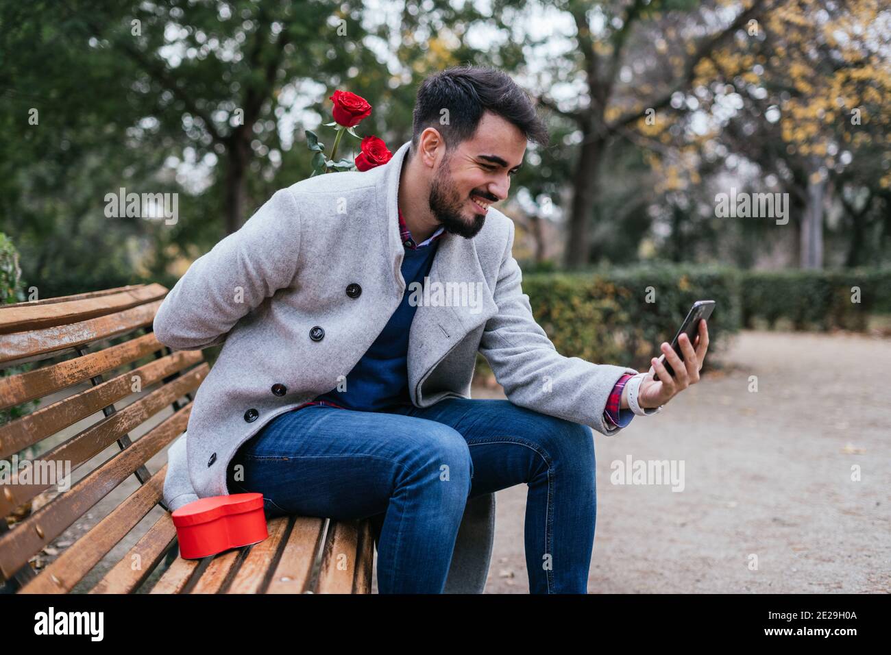 Handsome male with red roses and box sitting on a park bench and using ...