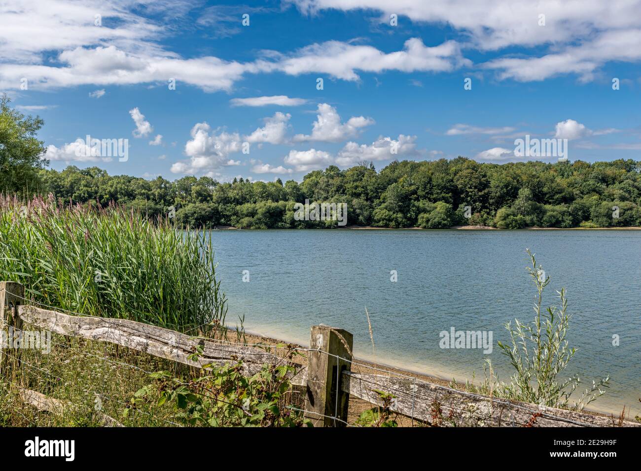 Ardingly reservoir landscape hi-res stock photography and images - Alamy