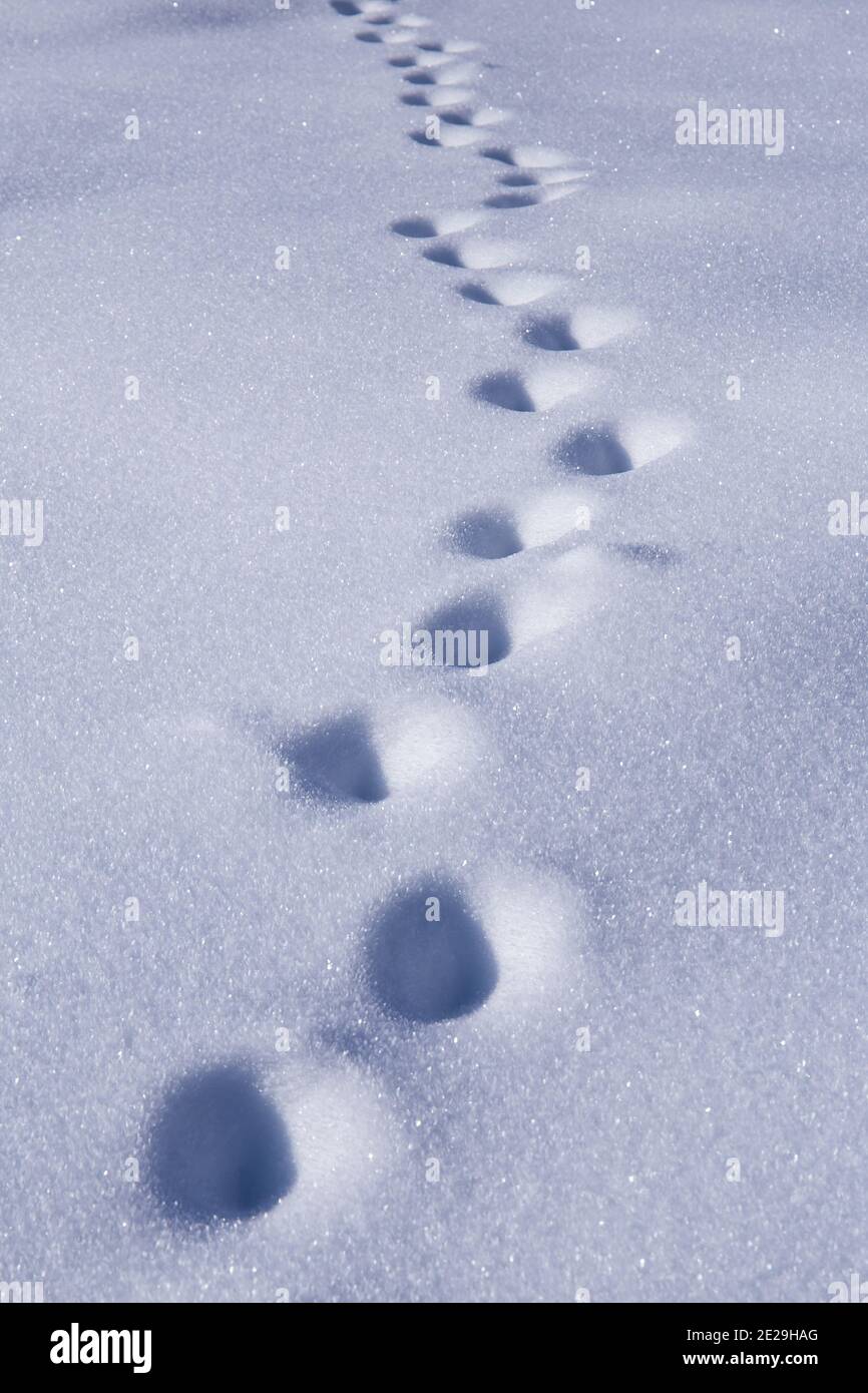 Hard shoe steps hi-res stock photography and images - Alamy