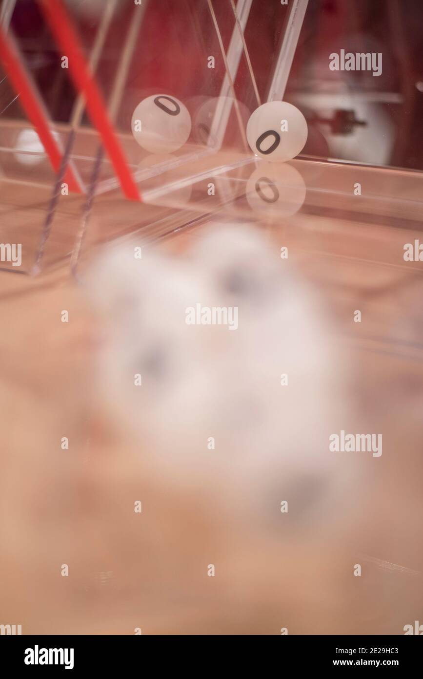 white balls with numbers for the game of lottery Stock Photo - Alamy