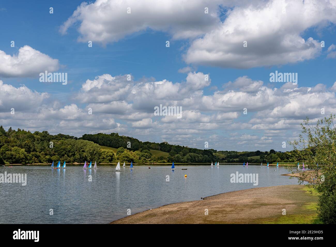 Ardingly reservoir landscape hi-res stock photography and images - Alamy