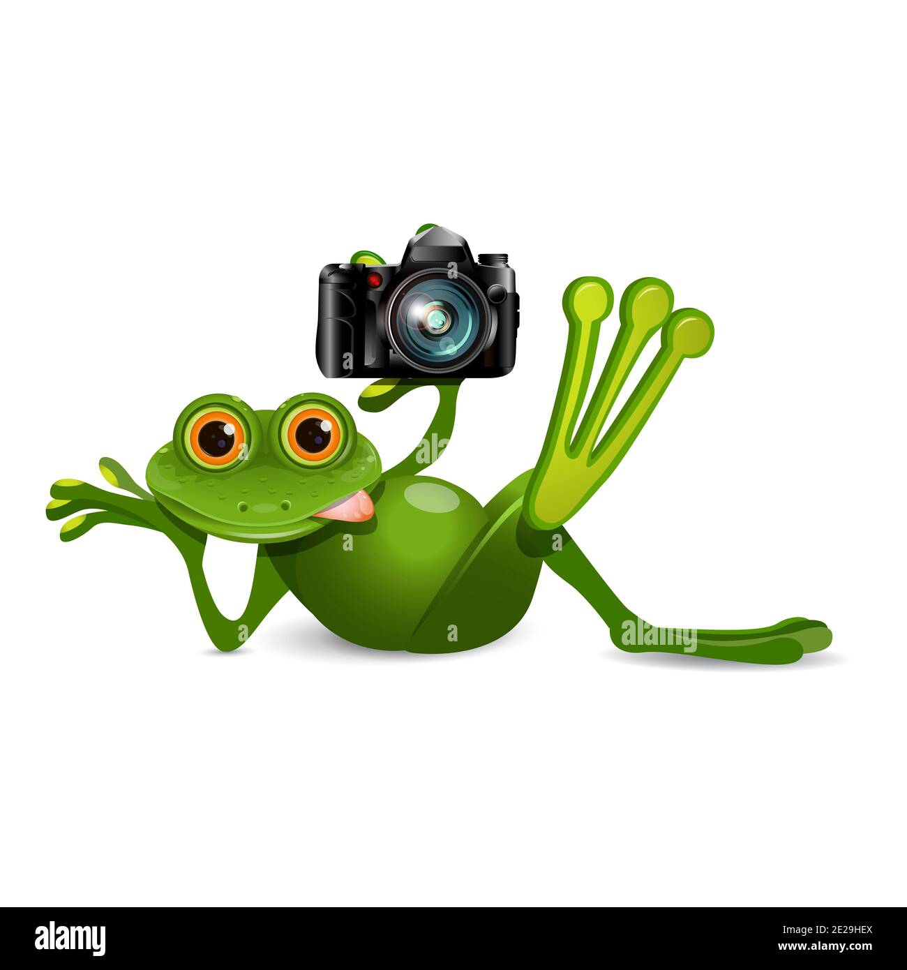 Stock Illustration Frog Holding Camera on a White Background Stock ...