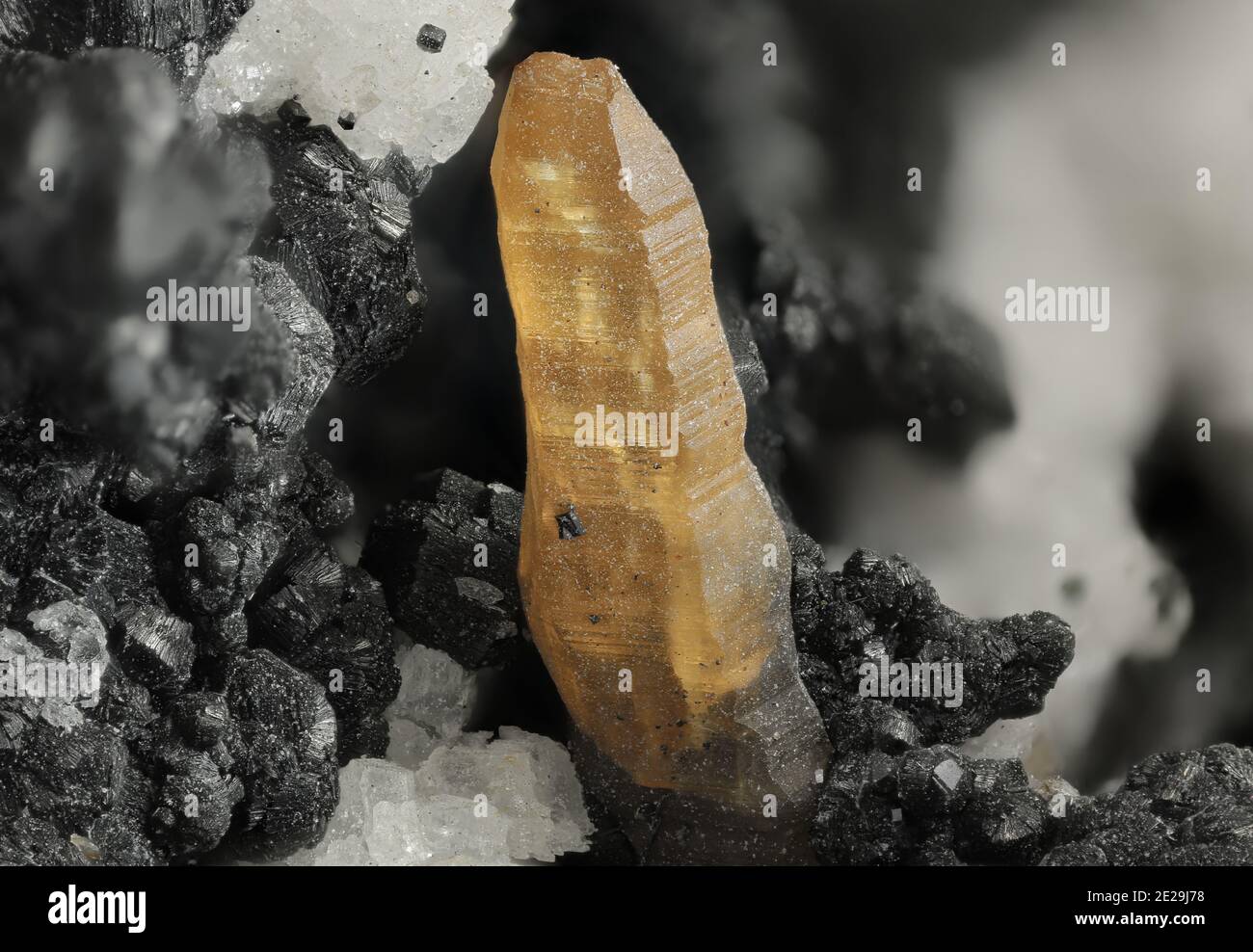 Synchysite hi-res stock photography and images - Alamy