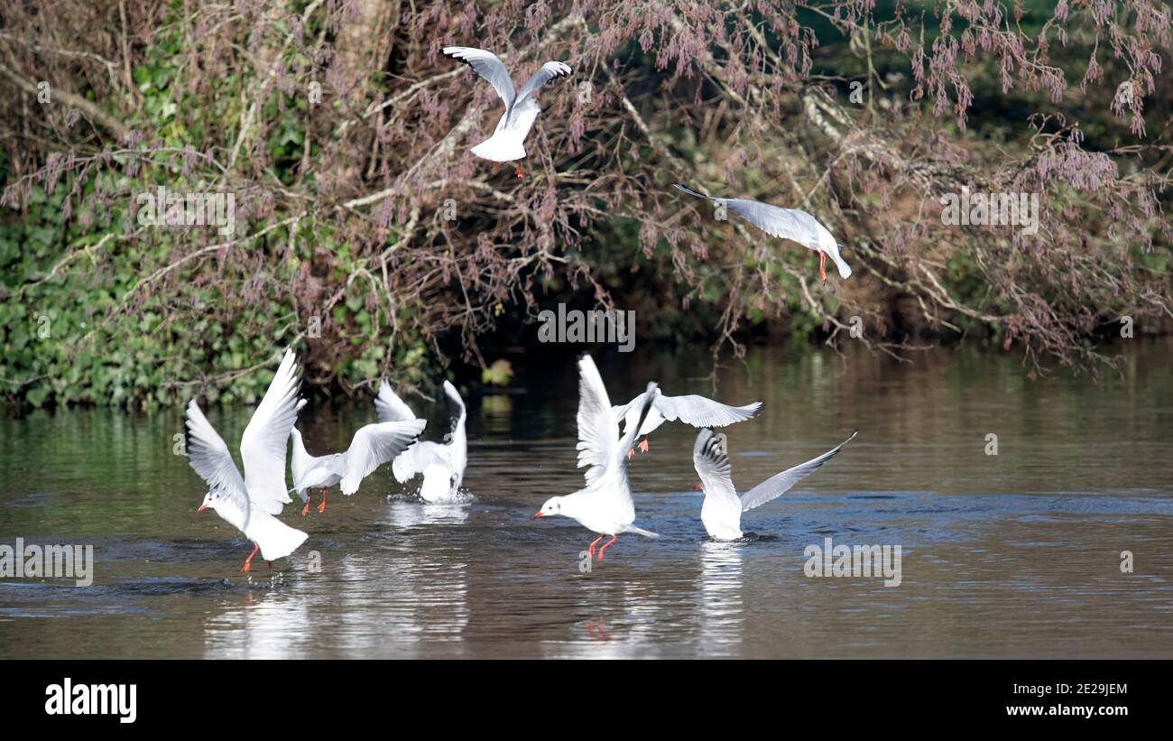 Ditchling hi-res stock photography and images - Alamy
