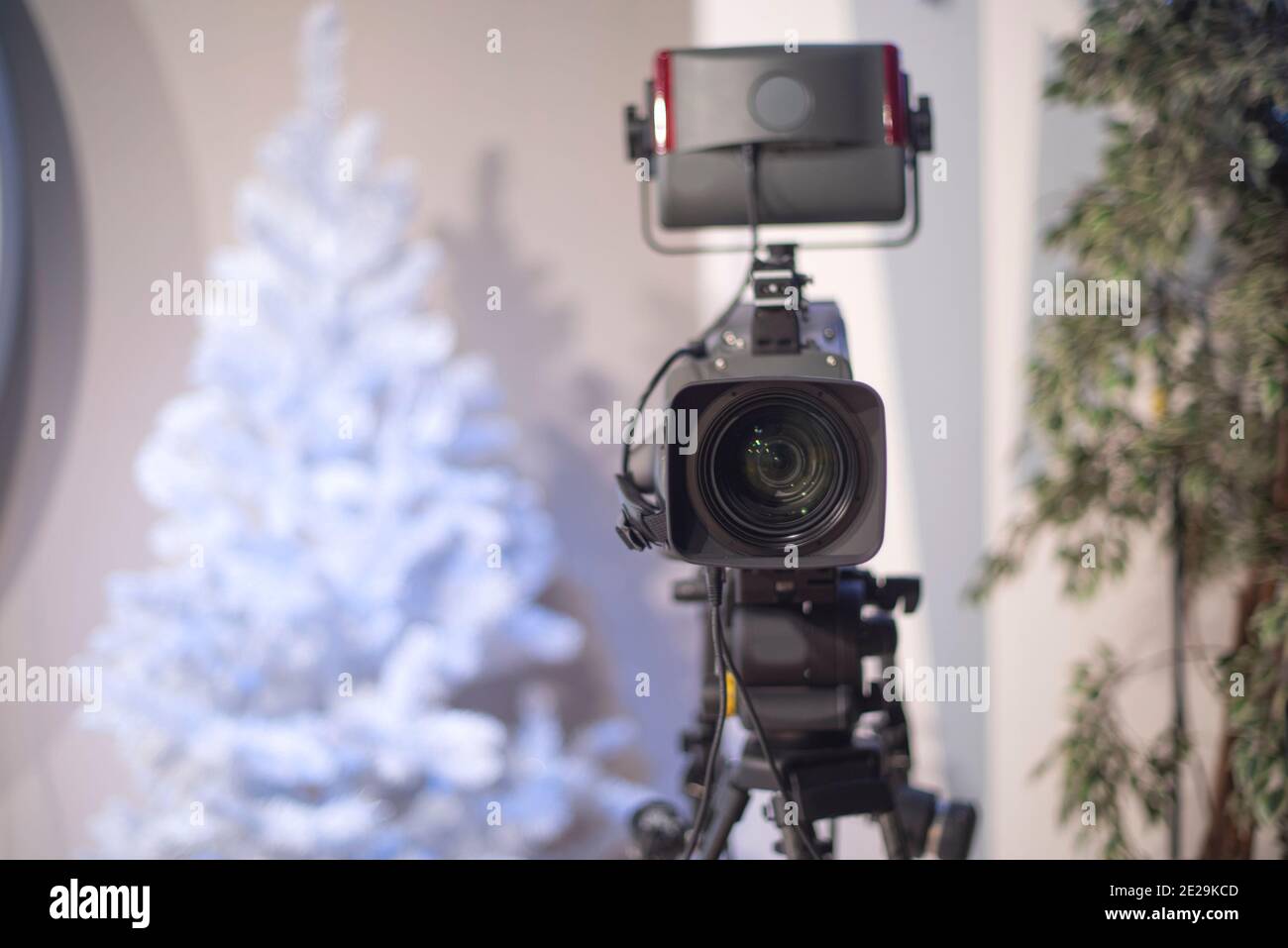 camera for shooting congratulations for the new year and christmas ...